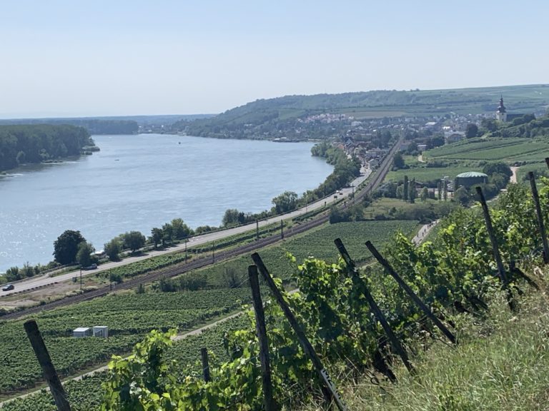 Exploring the Diversity of the Rheinhessen Wine Region [Part 1 of 3 ...
