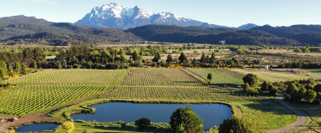 Happy Malbec World Day – Here are Some Fun Facts to Help you Celebrate ...