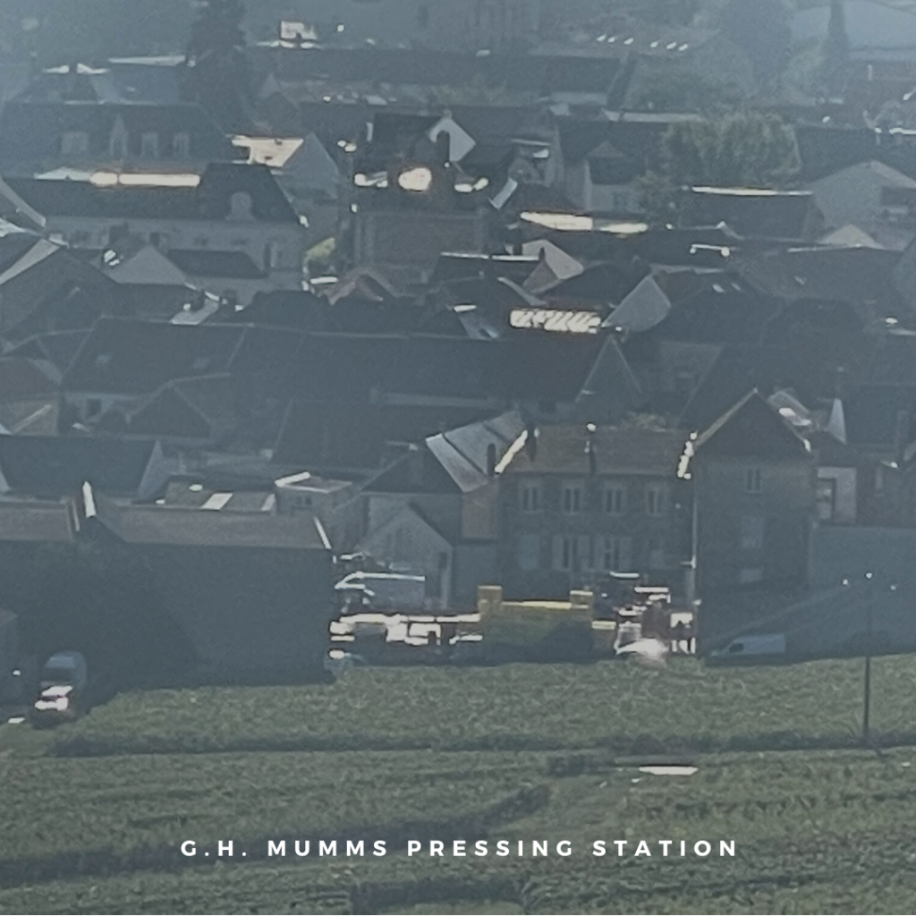 Mumm 2021 Harvest - Part l - Moulin de Verzenay and Coffee - Liz Palmer ...