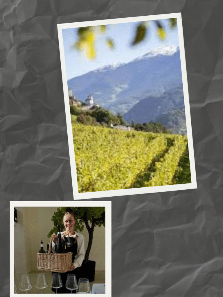 Alto Adige Wine Summit 2025: Expanding Horizons and Strengthening ...